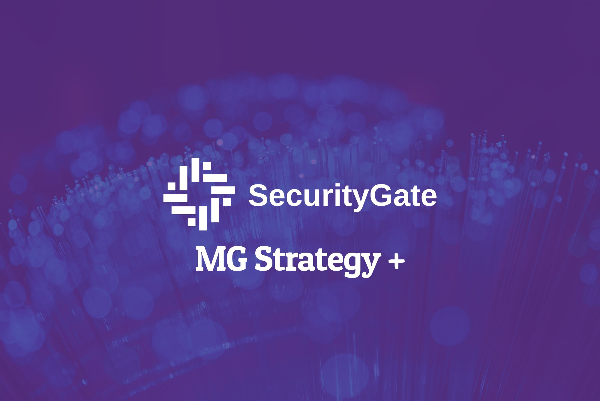 SecurityGate and MG Strategy + Alliance - SecurityGate.io